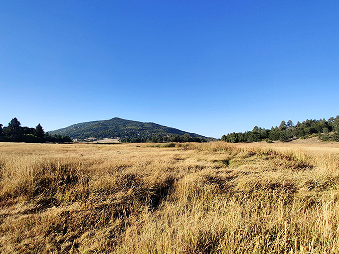 Golden meadows stretch toward distant mountains&mdash;California's version of the savanna, minus lions but with equally spectacular sunsets.