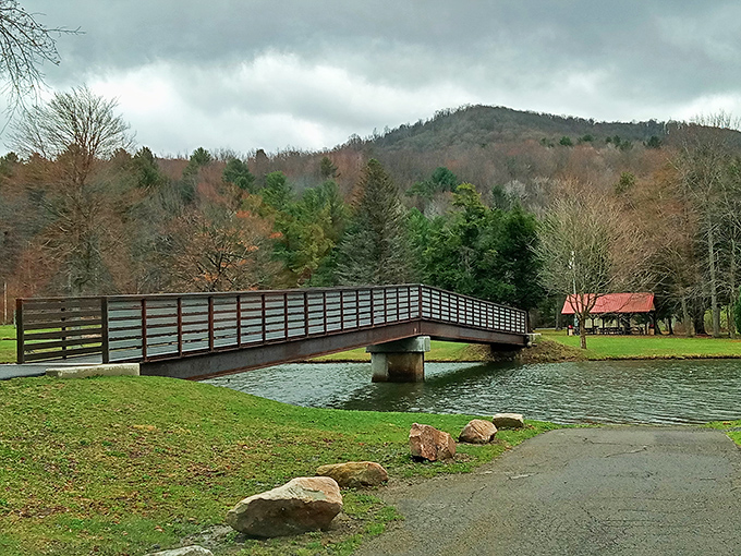 Hamlin Lake Park's peaceful bridge crossing invites contemplation, gentle walks, and the kind of serenity that big-city parks can only dream about.