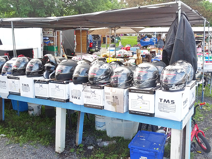 Helmet heaven for motorcycle enthusiasts&mdash;where safety meets style in neat rows that would make any gear-head's heart rev a little faster.