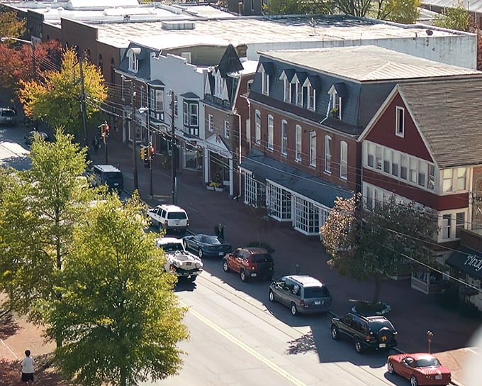 From above, Chestertown's historic district reveals its perfect grid of streets lined with buildings that have stories older than most states.