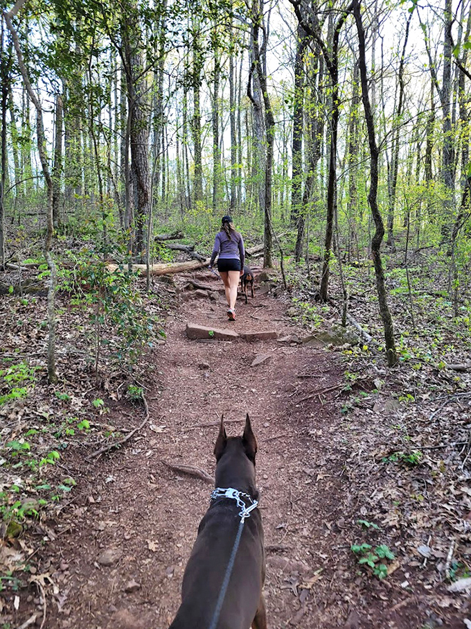 Following in the footsteps of countless explorers before you, this trail promises the perfect blend of solitude and adventure.