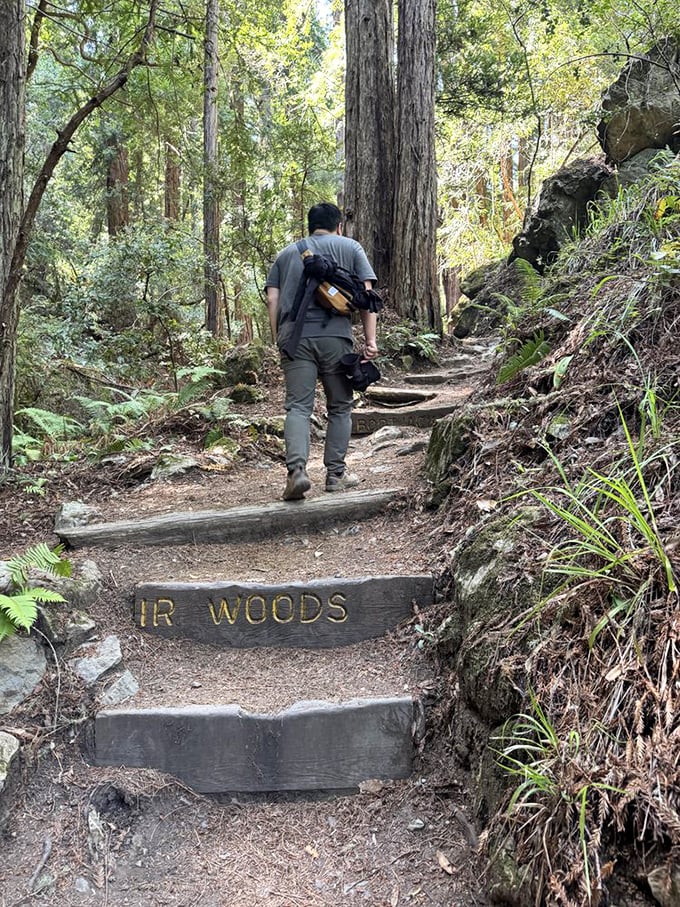 "Muir Woods" indeed&mdash;following in the footsteps of conservation's greatest champion through cathedral-like groves of ancient redwoods.