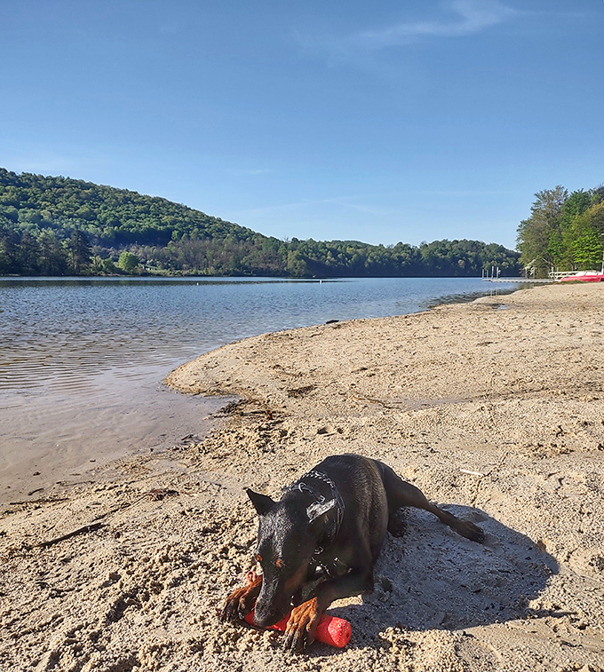The beach area offers a slice of coastal paradise in the Appalachian Mountains. Who needs ocean waves when you've got mountain-filtered freshwater?
