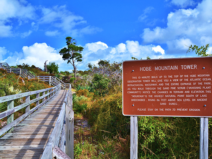 Hobe Mountain: where Florida's version of a "mountain" (at 86 feet) offers views that would make Everest jealous&mdash;and no supplemental oxygen required.