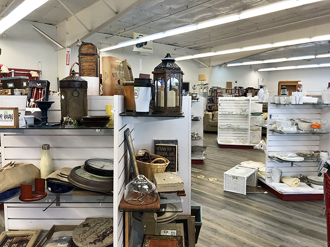 Vintage meets whimsy in this carefully curated corner. That lantern could illuminate your patio while the milk glass might showcase your grandmother's roses.