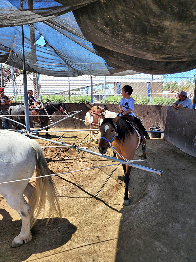 Pint-sized cowboys get their first taste of the Wild West on gentle ponies, creating childhood memories that will last far longer than any toy.