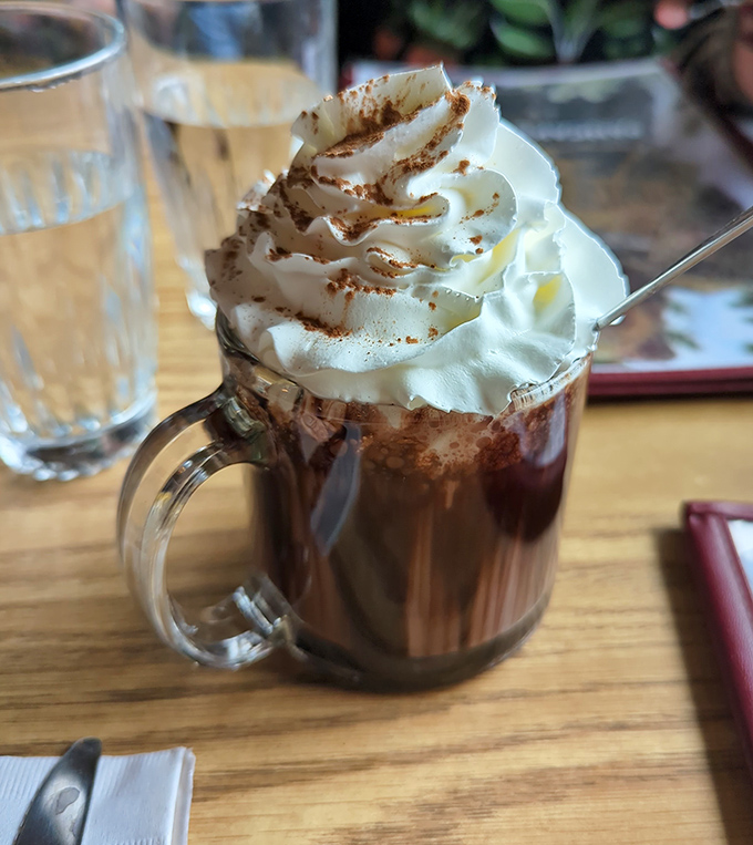 Hot chocolate that doesn't know it's not in a Swiss chalet&mdash;topped with a mountain of whipped cream and a dusting of cinnamon.