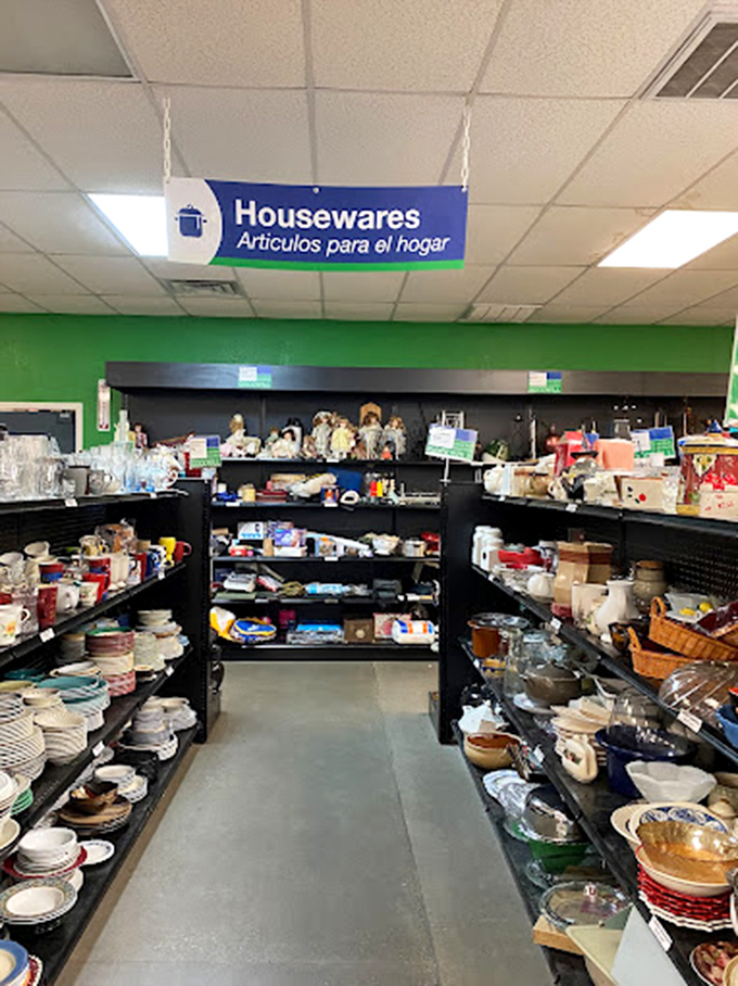 Dish paradise! From everyday plates to "only when company comes" crystal, the housewares section is a domestic dream at pennies on the dollar.