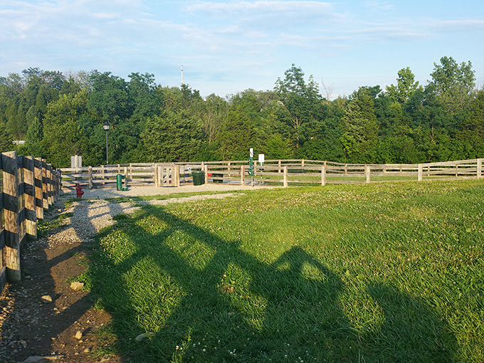 Your four-legged friends get their own designated paradise here, because good towns remember that dogs deserve adventures too.