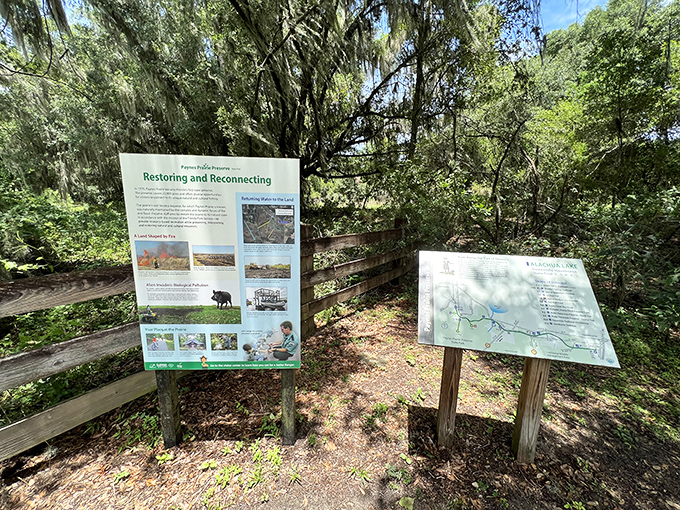Reading material with a view. These signs tell the prairie's story, but the landscape itself speaks volumes without saying a word.