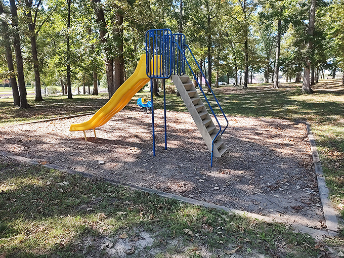 J Fred Johnson Park's autumn splendor makes a compelling argument that Mother Nature's show beats anything on Netflix.