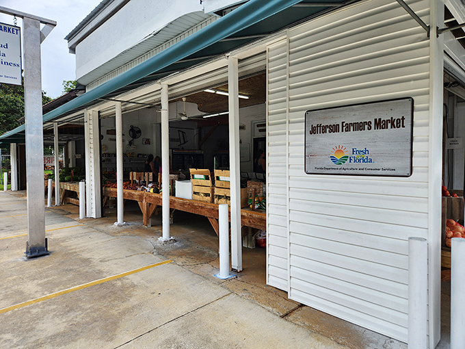 The Jefferson Farmers Market offers nature's bounty without the markup, where "farm-to-table" isn't a restaurant trend but simply how neighbors have always eaten.