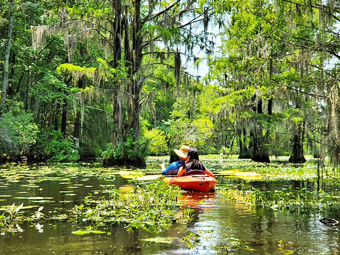 Kayaking through cypress-studded waters feels like gliding through a living postcard &ndash; no filter needed for these colors.