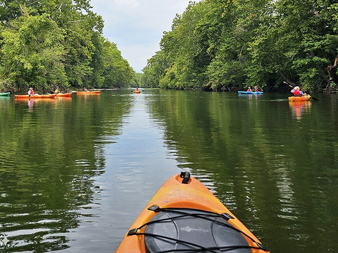 Kayaking the seven bends feels like floating through a living postcard. Just you, the paddle, and Virginia's finest screensaver.