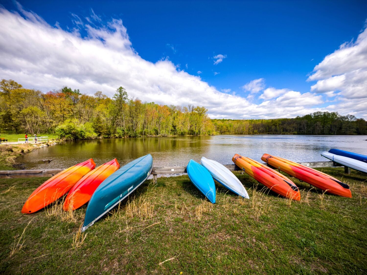 A rainbow of kayaks awaits your choosing, like selecting the perfect crayon to color your day's adventure on the water.