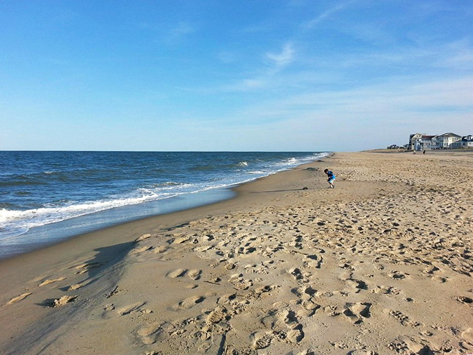 Tiny explorers discover the joy where land meets sea, creating childhood memories that last forever.