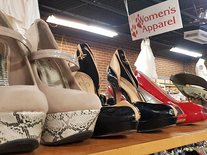 High heels lined up like hopeful contestants at a second-chance pageant. That snakeskin pair is definitely hiding a wild backstory.