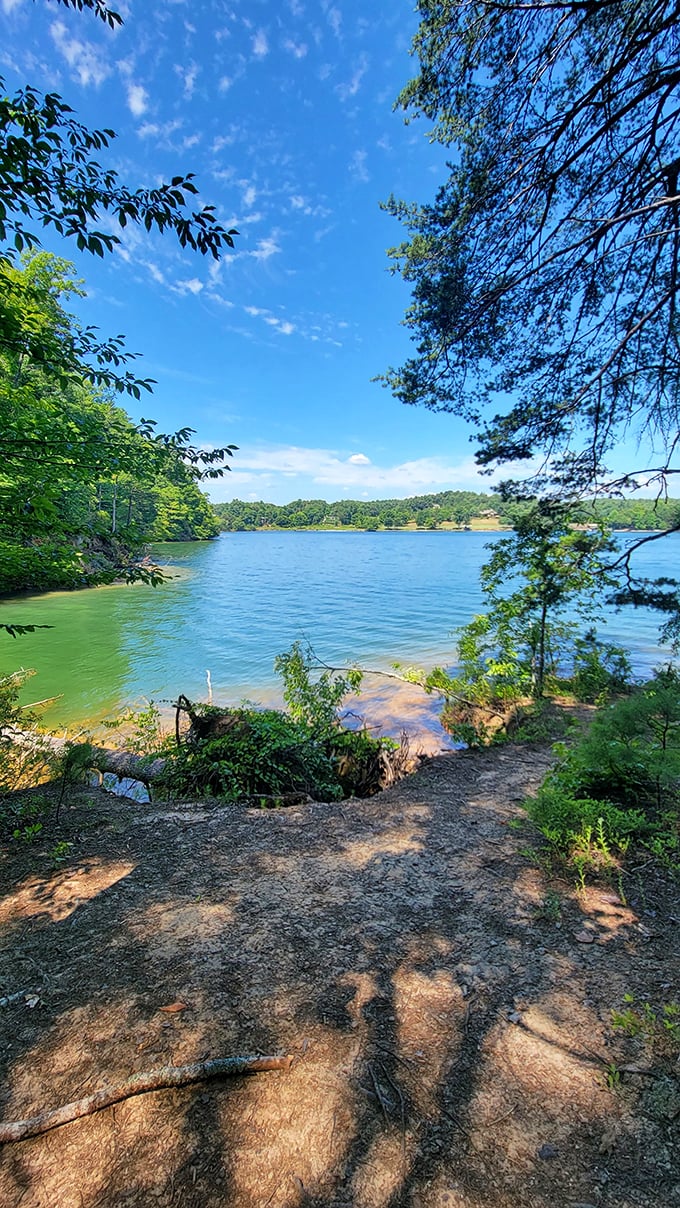 That moment when the trail opens to reveal Lake Keowee's blue expanse. Worth every step, every mosquito bite, every "are we there yet?"