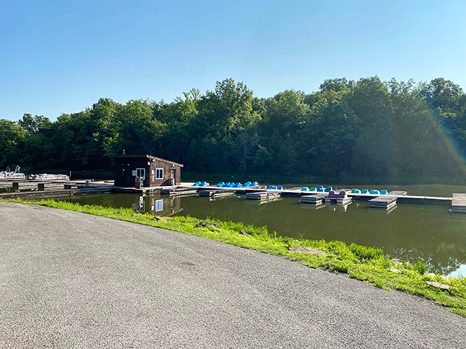 The boat dock &ndash; where aquatic adventures launch and "I should have brought more sunscreen" realizations are made in equal measure.