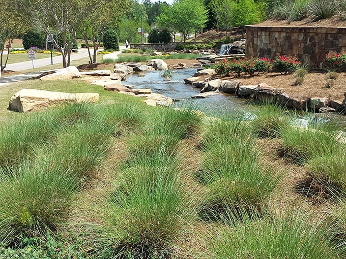 A meandering stream creates nature's soundtrack, proving that landscape architects deserve standing ovations just like symphony conductors.