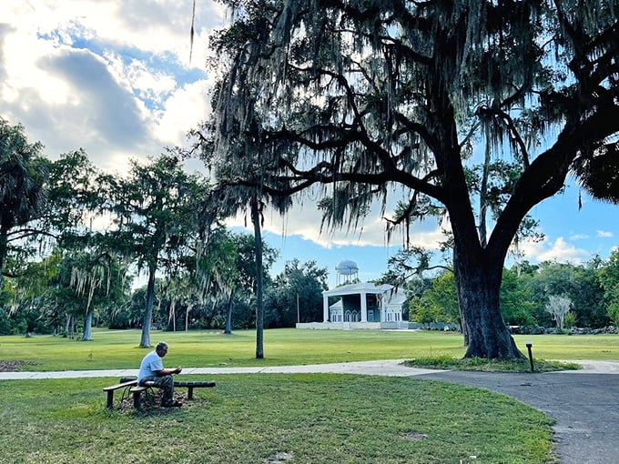 A moment of tranquility under Spanish moss chandeliers. This peaceful scene is the antidote to doom-scrolling&mdash;nature's own digital detox program.