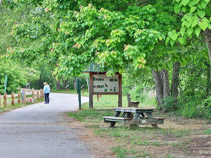 The Little Tennessee Greenway provides a paved path where nature and accessibility shake hands, proving you don't need mountaineering skills to enjoy mountain scenery.