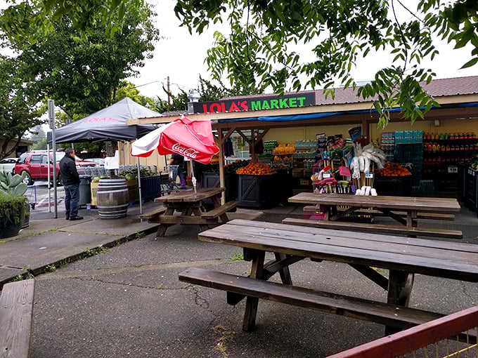 Lola's Market&mdash;where authentic Mexican provisions meet picnic table philosophy. The Coca-Cola umbrella has sheltered more culinary discoveries than fancy restaurants. 