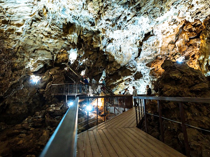 Nature's cathedral, complete with wooden pews. The walkways provide front-row seats to a show that's been running for millions of years.