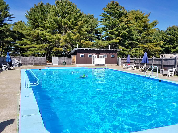 Nothing says "Maine summer" quite like a refreshing dip surrounded by towering pines. This community pool offers the perfect cool-down after antiquing.