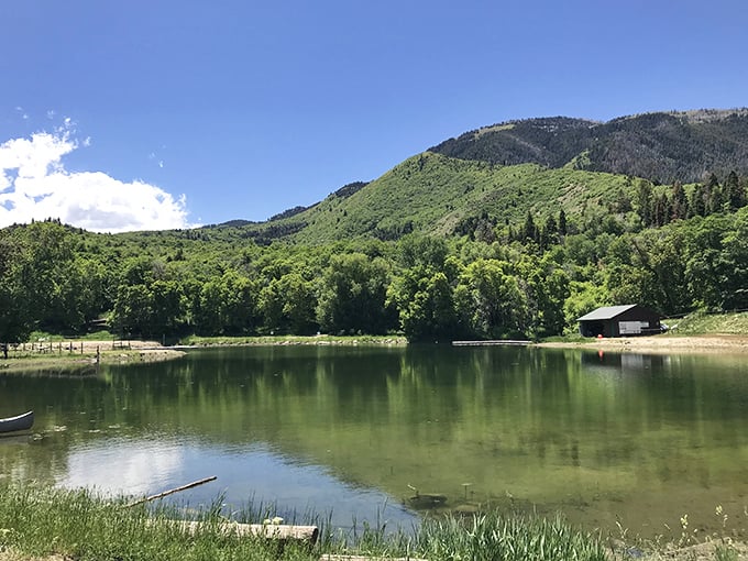 Maple Dell's serene waters reflect the surrounding mountains, creating nature's version of a double-feature you don't want to miss.