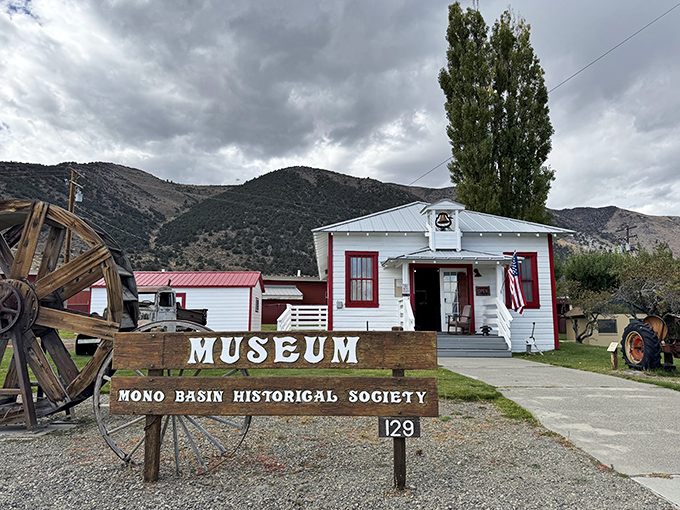 History isn't dusty at the Mono Basin Historical Society Museum &ndash; it's alive with stories waiting to be discovered.
