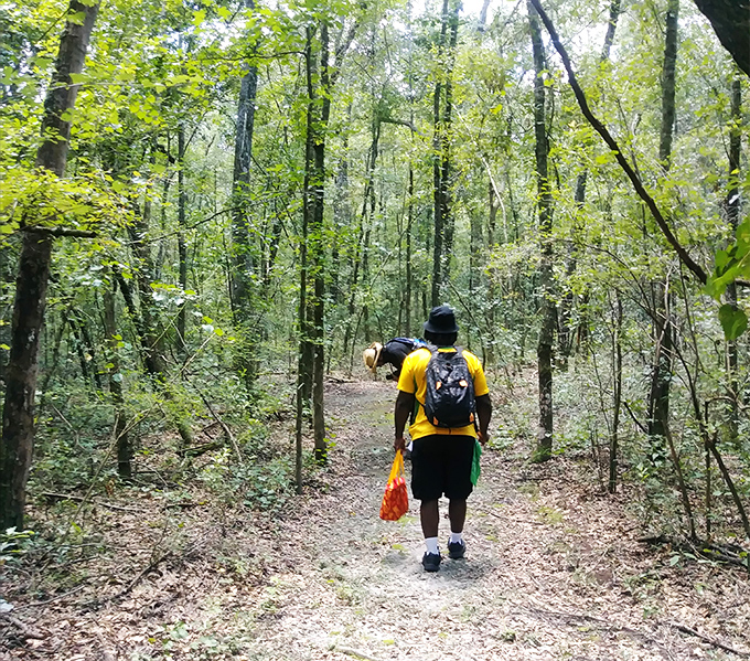 The forest path beckons with dappled sunlight and whispered promises of adventure. Nature's version of "follow me to something wonderful."