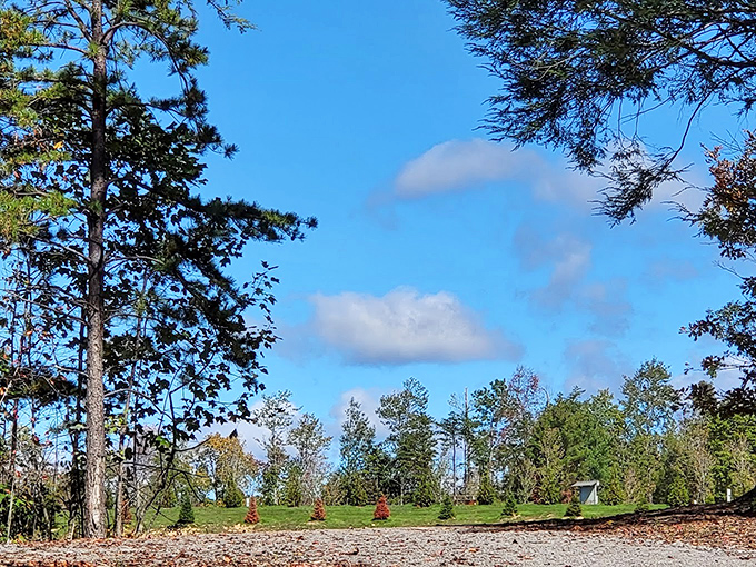 Blue skies and green meadows &ndash; Mother Nature's original color palette that no Instagram filter has ever improved upon.