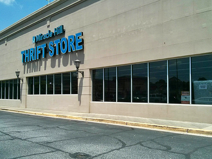 The clean lines and professional signage of this thrift empire remind us that secondhand shopping has evolved beyond dusty church basements.