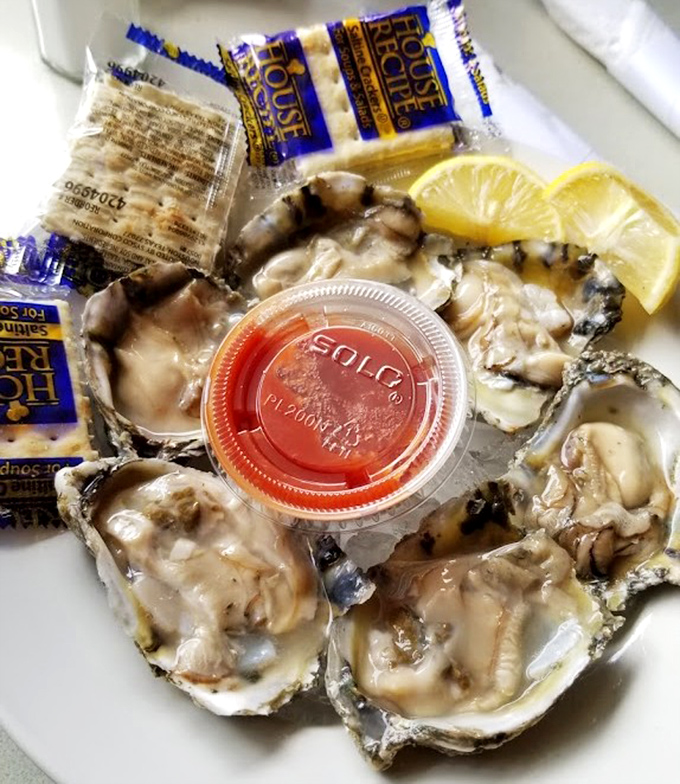 Fresh oysters on the half shell, glistening like jewels, with lemon wedges and cocktail sauce standing by for your dipping pleasure.