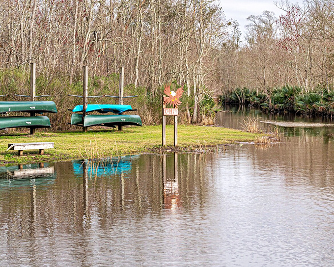 Just minutes from downtown, nature reclaims its territory with cypress-lined waterways where canoes rest ready for the next adventure.