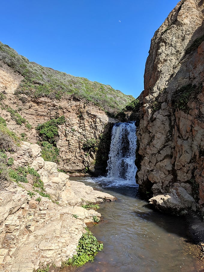 Mother Nature showing off again – this waterfall at Palomarin Trailhead rewards hikers with a refreshing splash of wilderness therapy.