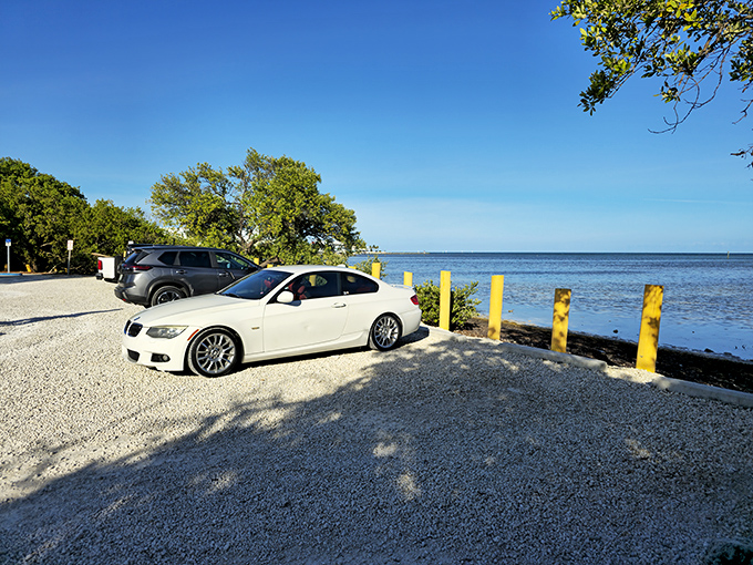 The parking area might be humble, but that view? Pure Florida Keys royalty without the pretension.