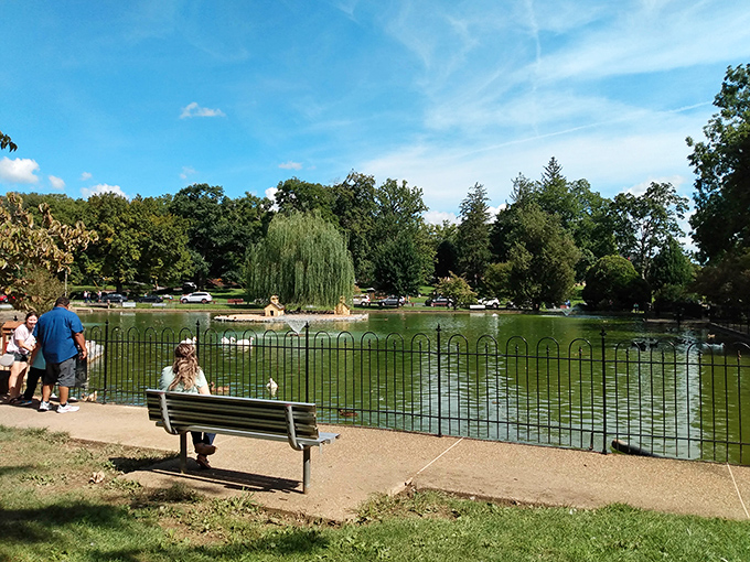 The duck pond at Gypsy Hill Park: where humans come to relax and waterfowl come to negotiate for bread. Nature's most peaceful standoff.