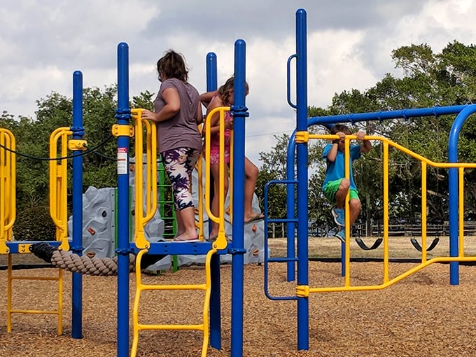 The playground at Matlacha Community Park&mdash;where kids burn energy and parents secretly wish they could join the climbing fun.