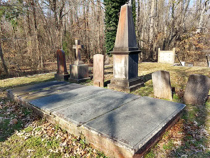 The Pettigrew family cemetery stands as a solemn reminder of those who came before. These weathered monuments have stories etched in stone.