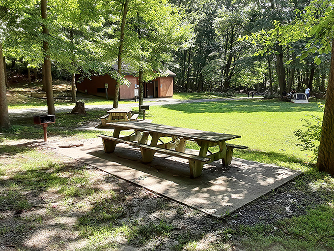 Picnic tables nestled among towering trees offer the perfect outdoor dining room. No reservation needed at this green-canopied restaurant.