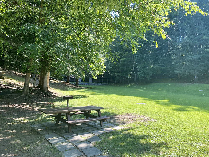 Sometimes the perfect dining room has no walls&mdash;just a picnic table under towering trees where birdsong provides the background music.