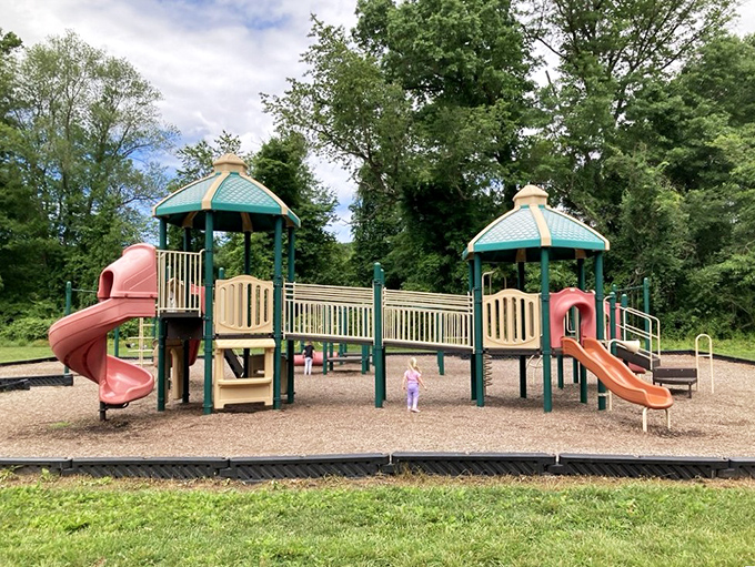 Modern playground equipment nestled in natural surroundings. Where kids burn energy while parents dream of naptime.