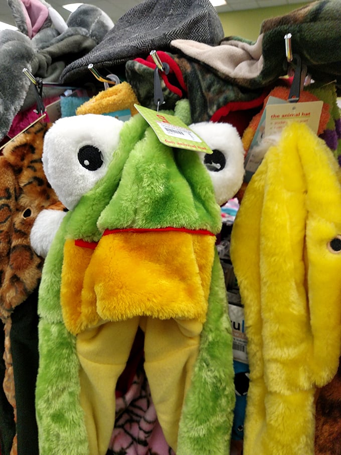 Meet your new conversation starter! This frog hat waited patiently through donation, sorting, and pricing just to find its rightful owner&mdash;could that be you?