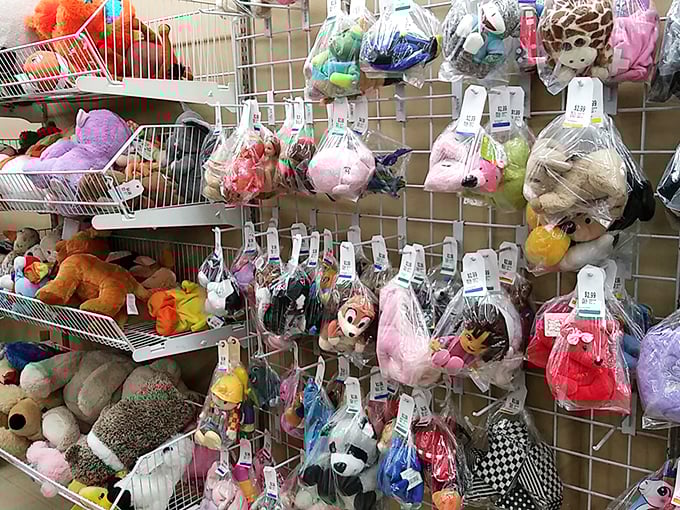 A plush toy paradise where stuffed animals patiently wait for their next cuddle &ndash; some looking suspiciously more loved than others.