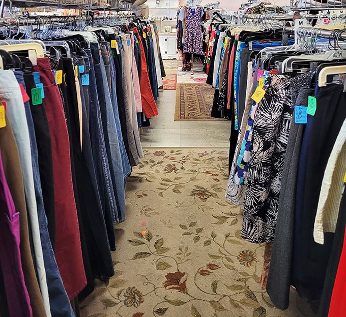 The denim aisle: where your next favorite pair of jeans awaits discovery. The thrill of the hunt with none of the fitting room fluorescent lighting trauma.