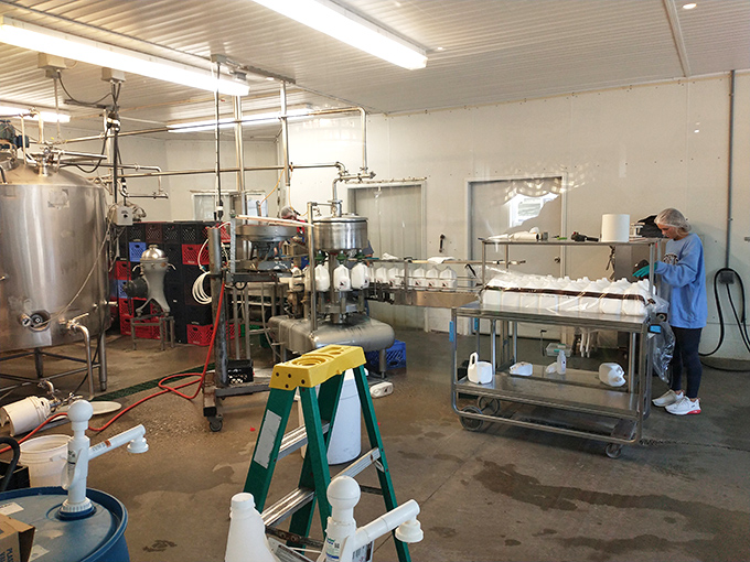 Behind the scenes where dairy magic happens. No wizards, just dedicated craftspeople turning fresh milk into something worth driving across Georgia for.
