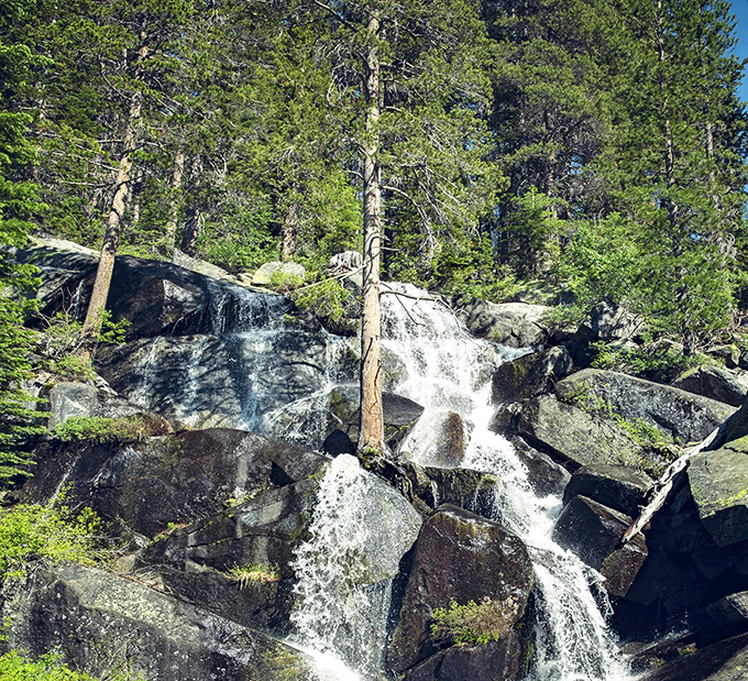 Nature's shower system at work. This cascade tumbles down granite steps like it's late for an appointment with the valley floor below.