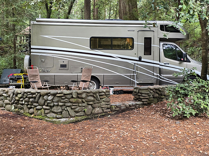 RV camping redwood-style: where your luxury vehicle suddenly feels humble next to neighbors who've been standing for millennia.